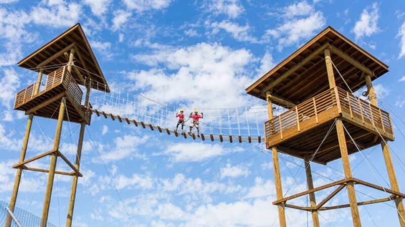 Camp Verde: Predator Zip Lines Guided Tour - Introduction