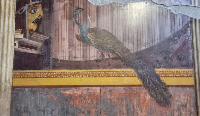 Campania: Pompei+Herculaneum+Vesuvius audio guide - Naples City Center and Villa di Poppea