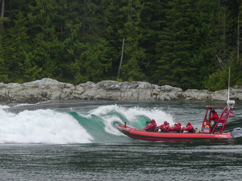 Campbell River: 4-Hour Ocean Rapids Ride - Why This Tour Is a Great Value