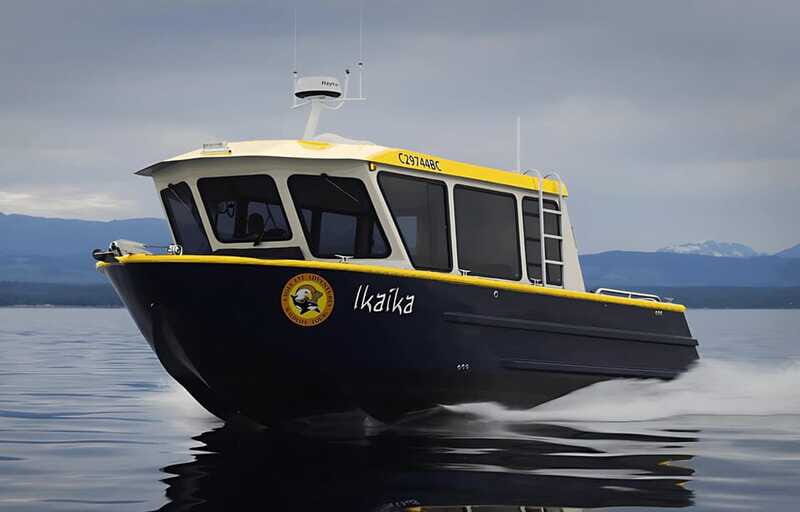 Campbell River: 6 Hour Covered Whale Watching Tour w/ Lunch - FAQ