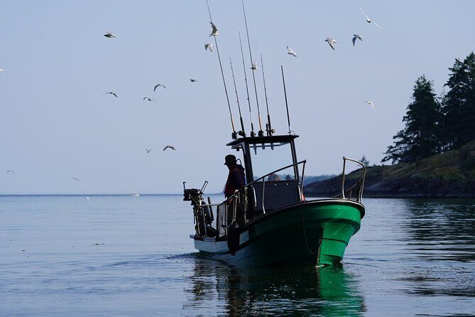 Campbell River - Fishing charters: Family-friendly & affordable - Exploring the Campbell River Fishing Charters: Family-Friendly & Affordable