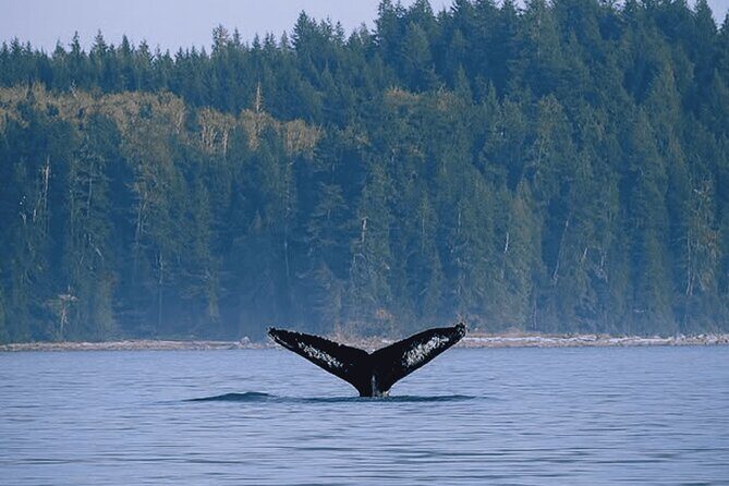 Campbell River - Fishing charters: Family-friendly & affordable - The Experience for Different Travelers