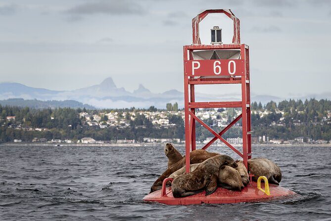 Campbell River - Fishing charters: Family-friendly & affordable - FAQs