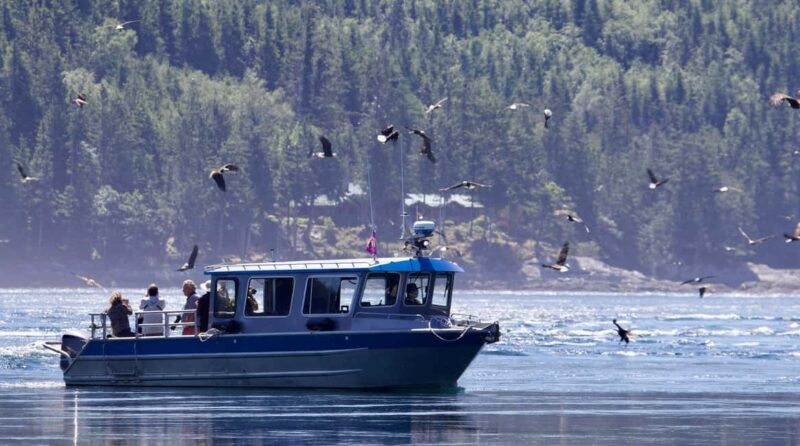 Campbell River: Grizzly Bear Expedition with Lunch - Who Will Love This Tour?