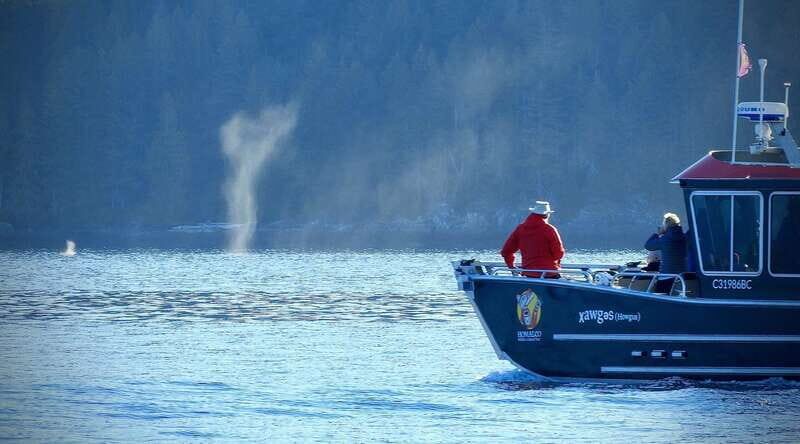 Campbell River: Grizzly Bear-Watching Tour with Lunch - An In-Depth Look at the Experience