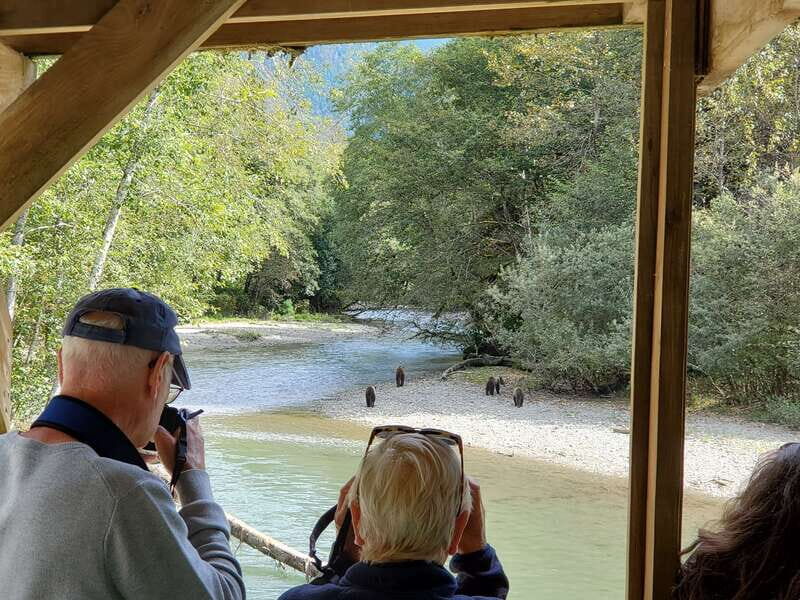 Campbell River: Grizzly Bear-Watching Tour with Lunch - Is the Price Justified?