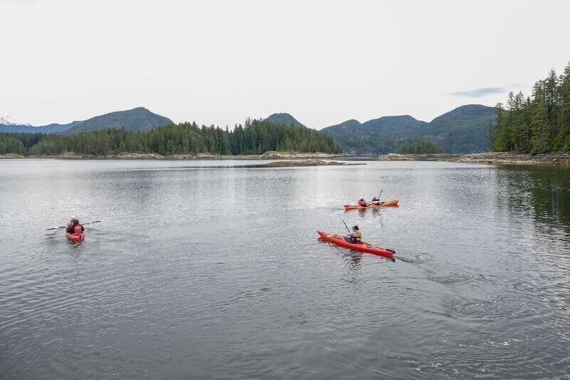 Campbell River: Kayaking and Whale Watching Tour - Final Thoughts