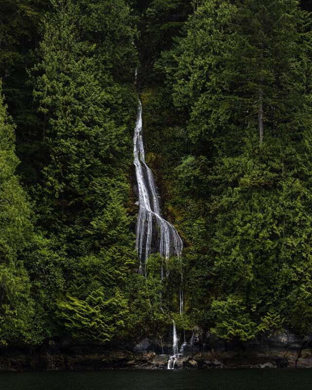 Campbell River: Spring Bear Watching & Waterfalls Boat Tour - An Immersive Look at the Campbell River Waterways