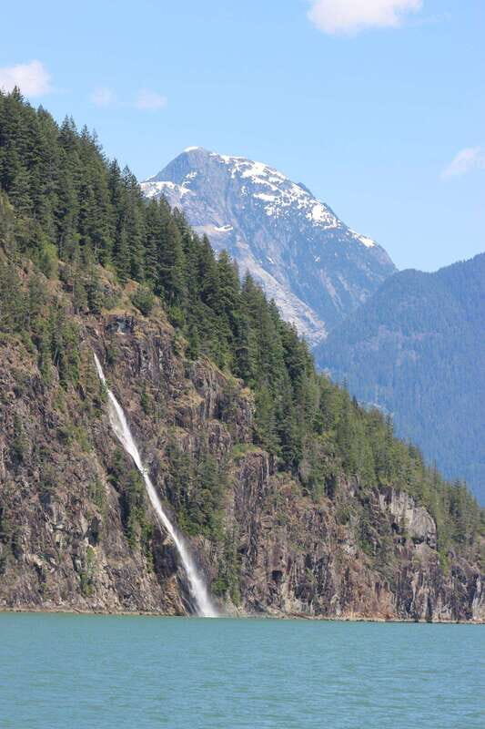 Campbell River: Spring Bear Watching & Waterfalls Boat Tour - Wildlife Watching: What’s Most Likely?