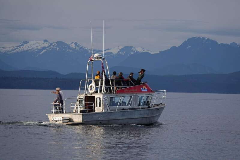Campbell River: Spring Bear Watching & Waterfalls Boat Tour - The Waterfalls & Scenic Stops