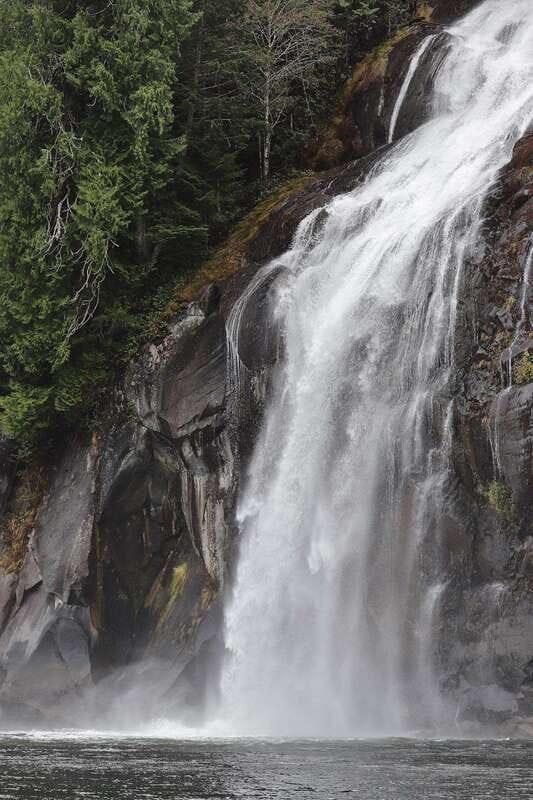 Campbell River: Spring Bear Watching & Waterfalls Boat Tour - The Guides: Knowledgeable and Engaging