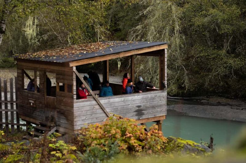 Campbell River: Toba Bears and Wilderness Grizzly Bear Tour - An In-Depth Look at the Toba Bears and Wilderness Grizzly Bear Tour