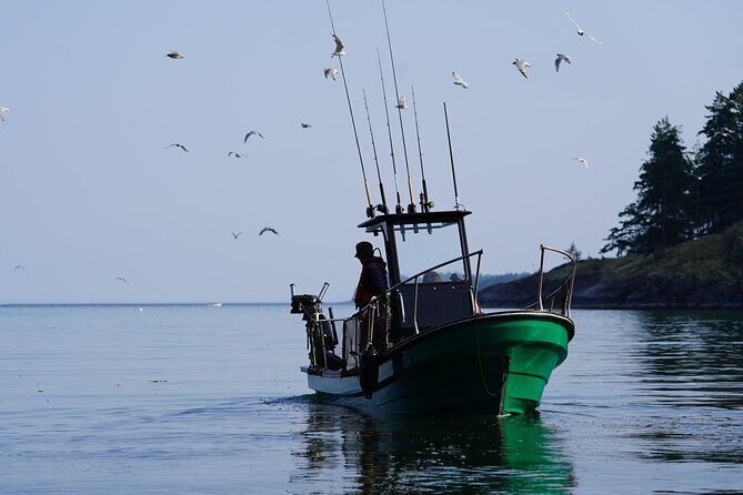Campbell River - Whale Watching: Private & budget-friendly - An In-Depth Look at the Experience