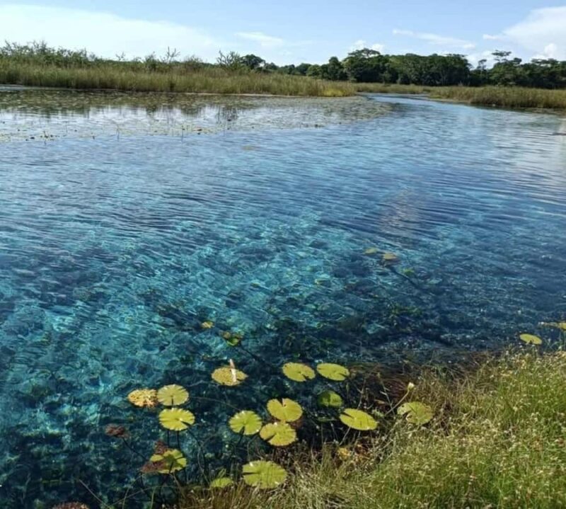 Campeche: Palenque, Sabancuy, & Palizada 2-Day Tour - What to Expect: Practical Details