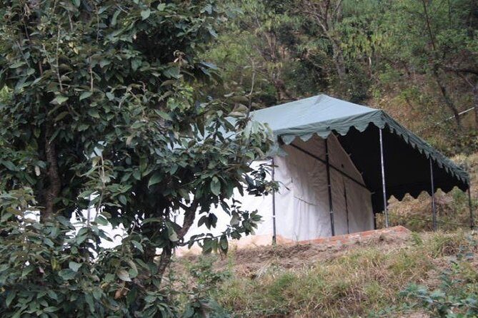 Camping at Pangot with Swiss Tent Stay - The Value of the Experience