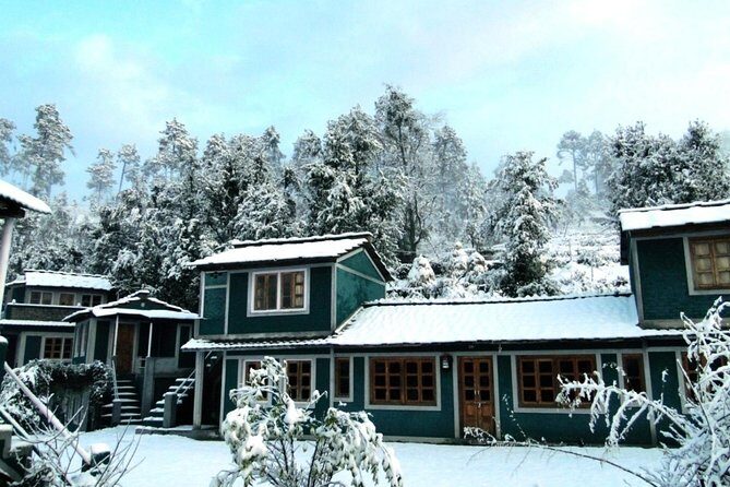 Camping in Binsar, Uttarakhand - Key Points