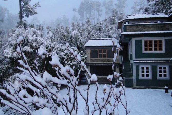 Camping in Binsar, Uttarakhand - Discovering Binsar: More Than Just a Viewpoint
