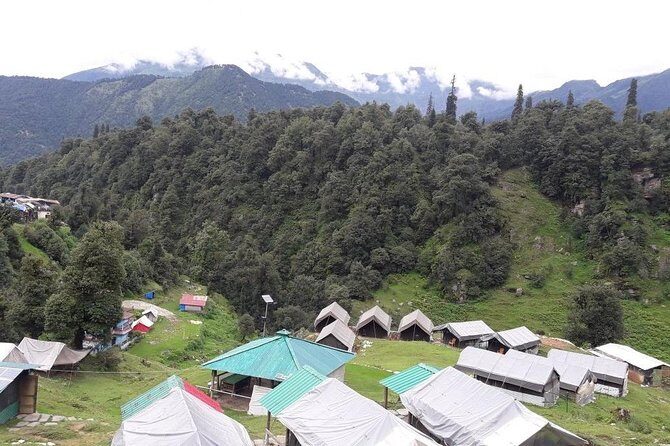 Camping in Chopta - 1 night - Key Points