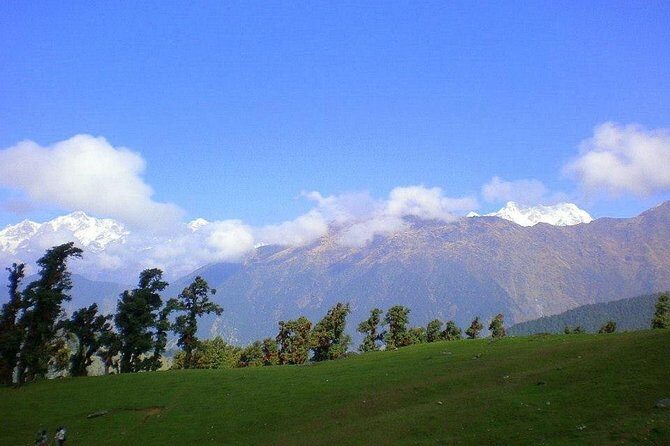 Camping in Chopta - 1 night - Who Its Best For
