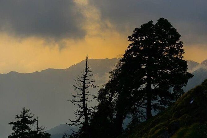 Camping in Chopta - 1 night - Who Might Want to Skip