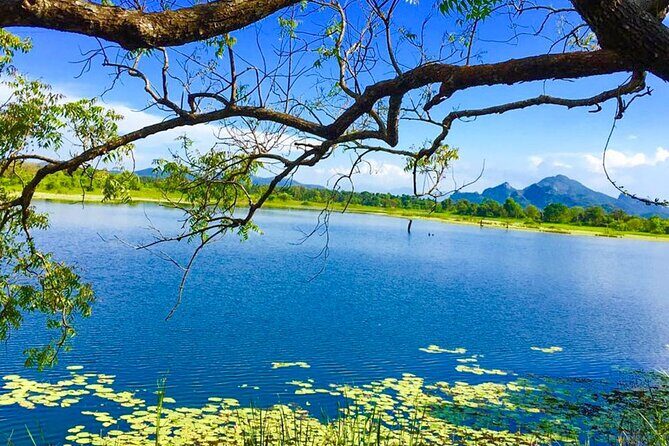 Camping in Habarana - Analyzing the Cost and Value