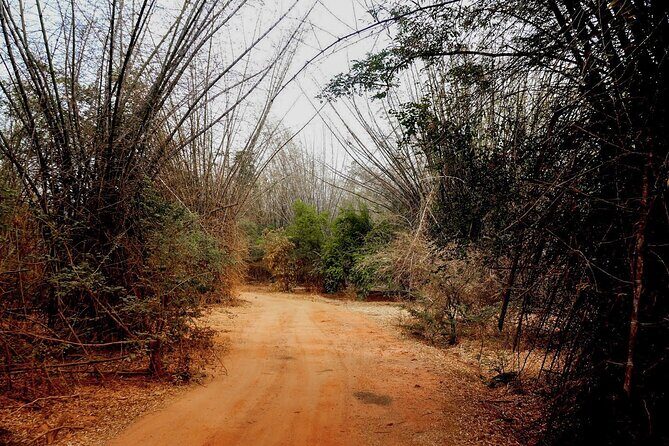 Camping in Habarana - The Sum Up