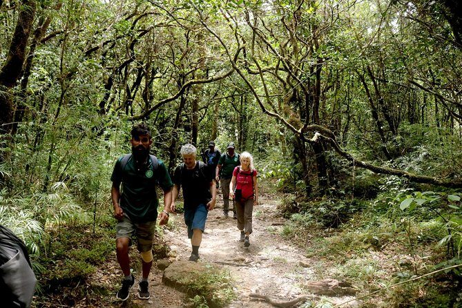 Camping in Knuckles Peak Trail (Private 1-Night) - Exploring the Knuckles Range: A Closer Look