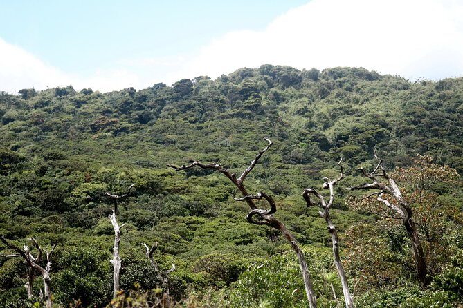 Camping in Knuckles Peak Trail (Private 1-Night) - Authentic Experience & Cultural Encounters