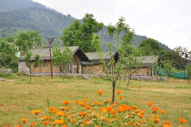 Camping in Manali, Himachal Pradesh - The Scenic and Cultural Highlights