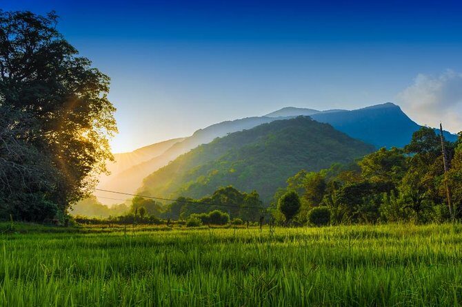 Camping in Meemure - An In-Depth Look at the Experience