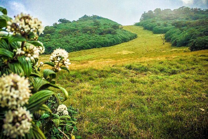 Camping in Ramboda - Key Points