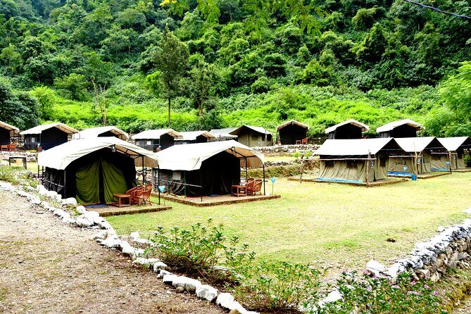 Camping in Rishikesh - 1N 2D - Who Is This Tour Best For?