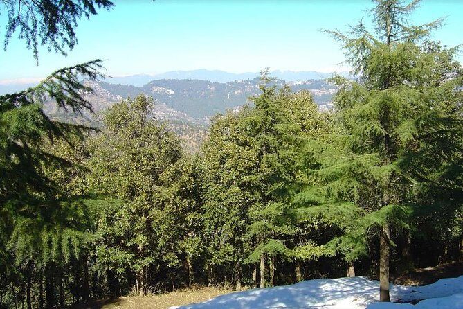 Camping near Shimla - Adventure Activities: Fun, Not Overwhelming