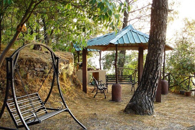 Camping near Shimla - The Perfect Mix of Relaxation and Adventure