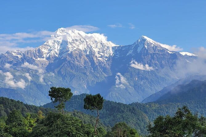 Camping on Hiking Trails at Australian Camp 1 Night 2 Days - An Honest Breakdown of the Experience