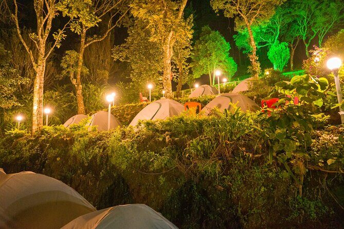 Camping Suriyaneli/Munnar Kerala - Analyzing the Cost and Value