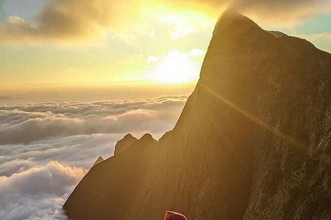 Camping Suriyaneli/Munnar Kerala - Who Will Enjoy This Tour?