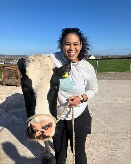 Campview Farm, Ballyshannon: Cuddle a Cow Experience - What You Can Expect from the Cuddle a Cow Experience
