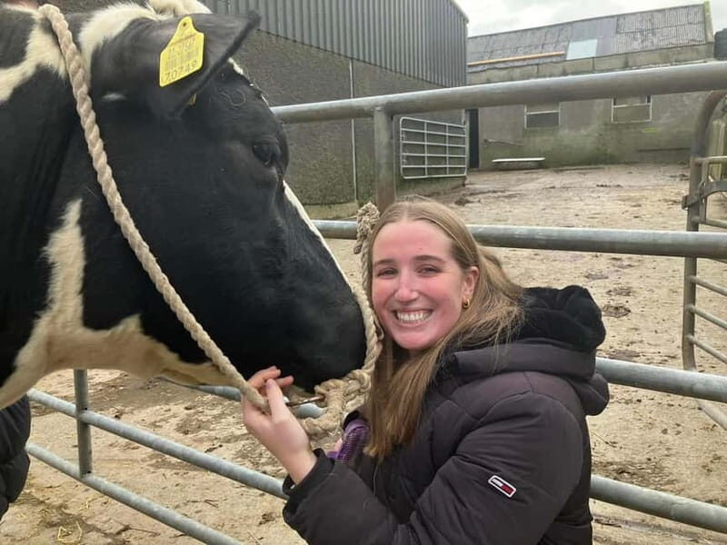 Campview Farm, Ballyshannon: Cuddle a Cow Experience - The Value of Animal-Assisted Therapy