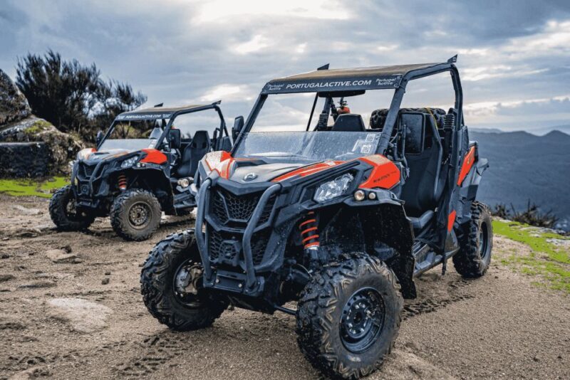 Can-Am Experience - The Experience in Detail