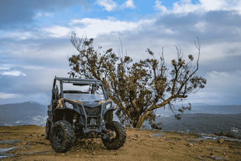 Can-Am Experience - What the Reviews Say