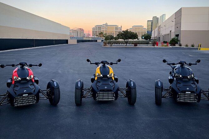 Can Am Ryker Rental in Las Vegas - Why Choose the Can-Am Ryker Rental in Las Vegas?