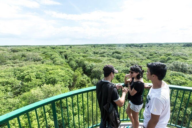 Can Gio Biosphere Private 1 day. - A Deep Dive into the Experience