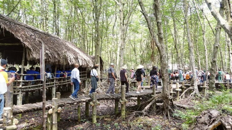 Can Gio Day Tour: Monkeys, Crocodiles, Canoe & Seafood Lunch - An In-Depth Look at the Can Gio Day Tour