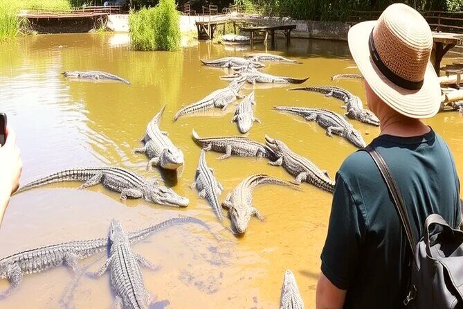 Can Gio Mangrove Biosphere Reserve Canoe & Wildlife Tour - Final Thoughts: Is This a Good Choice?