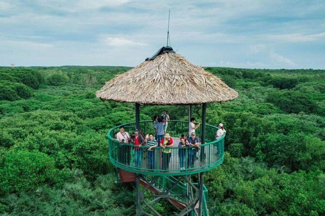 Can Gio mangrove eco tour 1 day private - Value & Cost