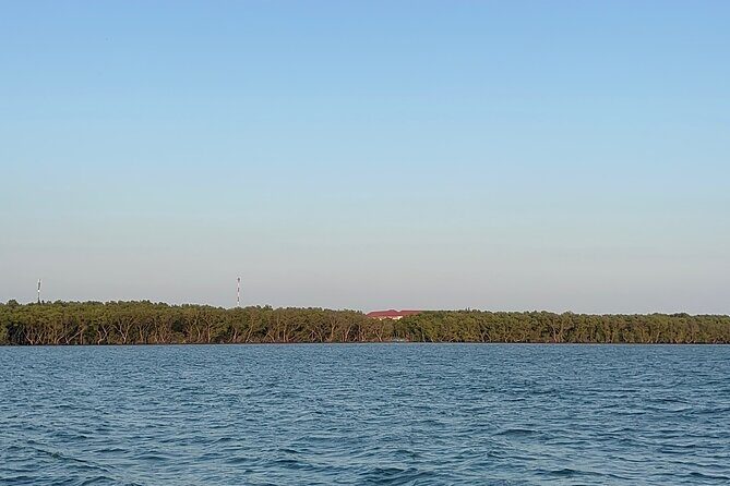 Can Gio Mangrove Forest & Authentic Thanh An Island Private Tour - A Detailed Look at the Experience