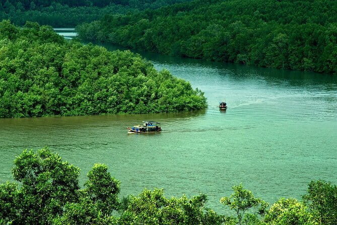 Can Gio Mangrove Forest Island Private Tour From Ho Chi Minh City - Key Points