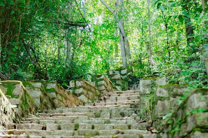Can Gio Mangrove Forest, Thanh An Island, Vung Tau 2 Days Tour - Introduction