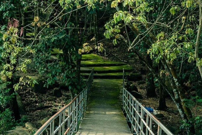 Can Gio Mangrove Forest, Thanh An Island, Vung Tau 2 Days Tour - Exploring the Itinerary in Detail